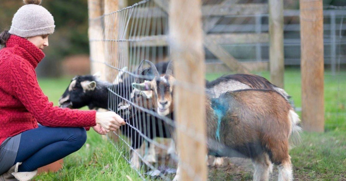 Smallholder Protect - Smallholder Farm Insurance